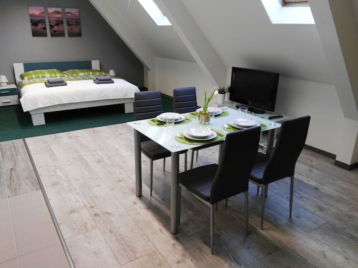 Apartmánové Studio V Centru - Česká Lípa