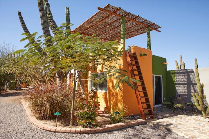 Casa El Ciruelo, A Beautiful Cottage On Its Own - Baja California Sur