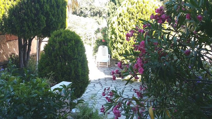 Bandol Bel Appartement Terrasse Jardin Et Piscine - Sanary-sur-Mer