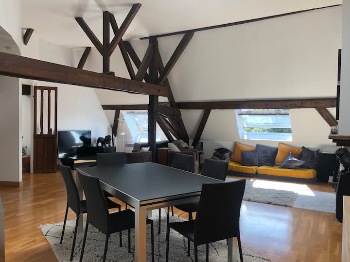 Appartement Privatif Typique Vieux Lille De 97 M2 - ibis budget Lille Centre