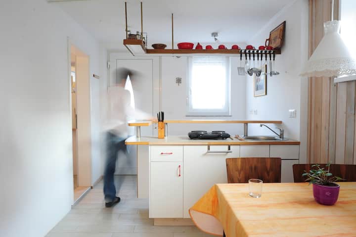 Sunny And Cozy Apartment In Ljubljana - Ljubljana