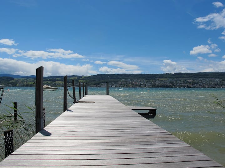 Beautiful Flat On Lake Zurich - Erlenbach