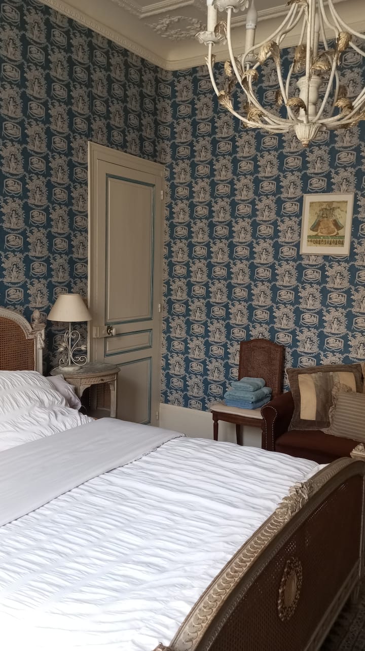 Chambre Double De Charme / Maison De Maître - Vierzon
