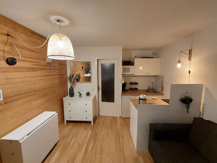 Joli Studio 4 Couchages Aux Pieds Des Pistes - Puy-Saint-Vincent