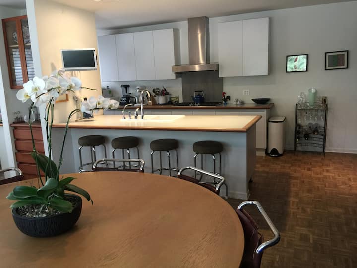 Lakeview Home Close To Wrigley - Chicago, IL