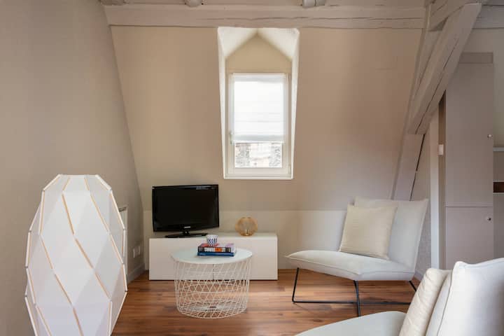 Appartement L'en-tête 3 - Colmar