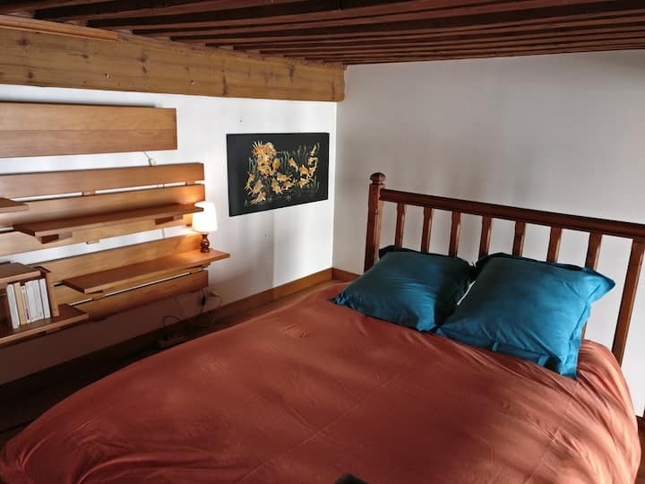 T2 Typique Canut, Pentes Croix Rousse, Lyon Centre - Lyon