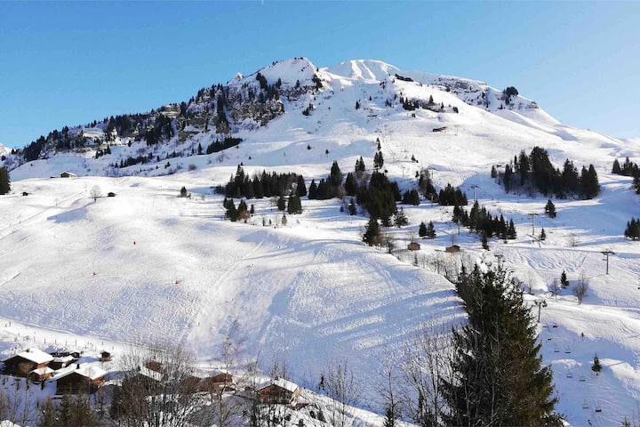 Le Grand-bornand - Chinaillon - Appart 2/5 Pers - Le Chinaillon