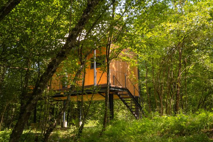 Tree Elements Retreat - Treehouse Wind - Croatia