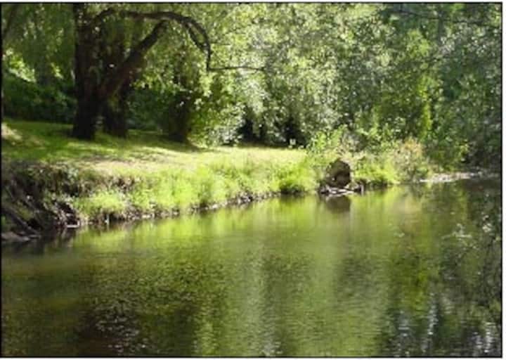 Roses On The River Absolute River Frontage Cottage - ブライト
