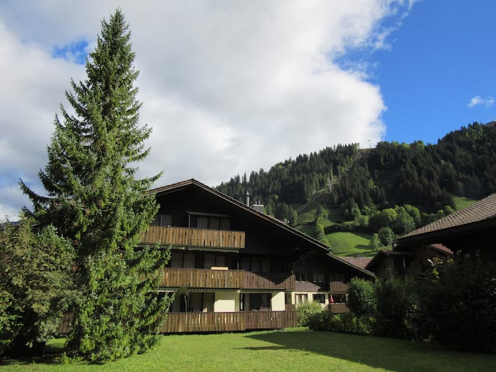 Gemütliche Ferienwohnung Langenhore, Lenk I.s. - Lenk