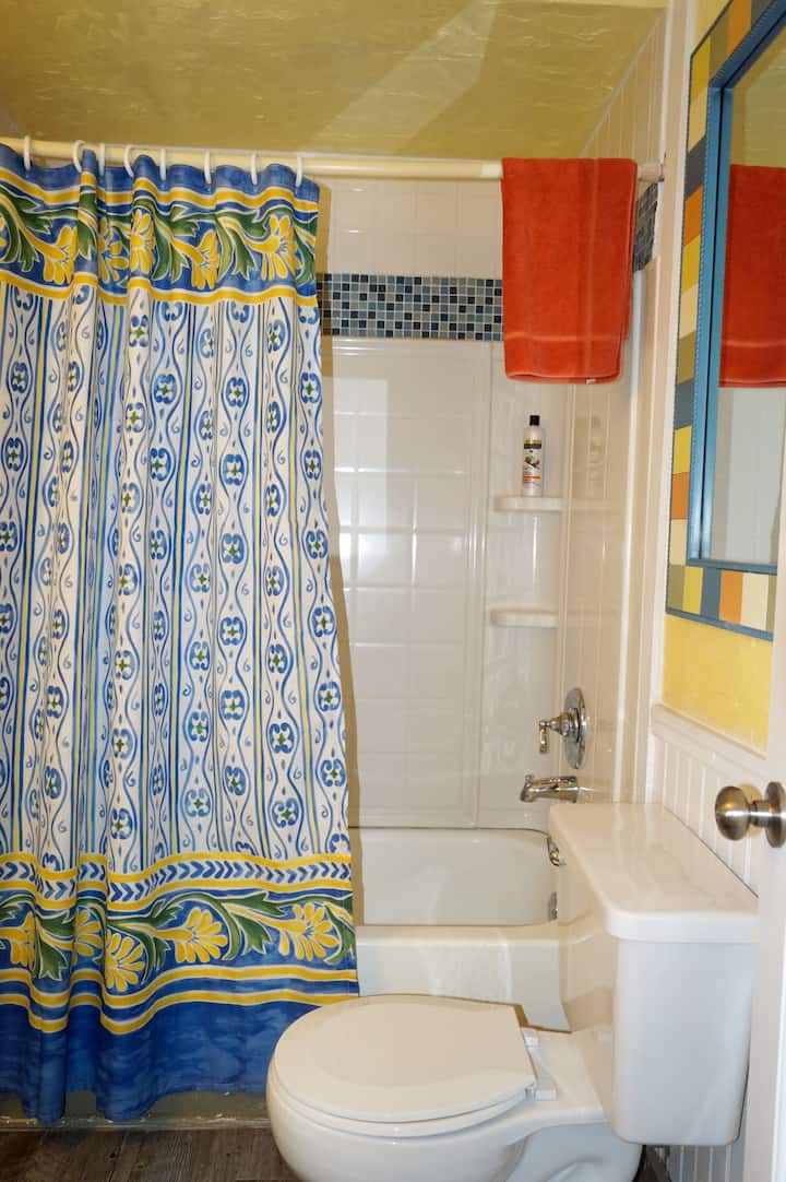 Steps To The Beach  Sleeps 6, Pets Ok, Great Value - Palm Harbor, FL