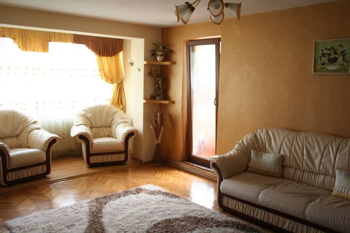Nice & Relaxing Central Apartment - Baia Mare