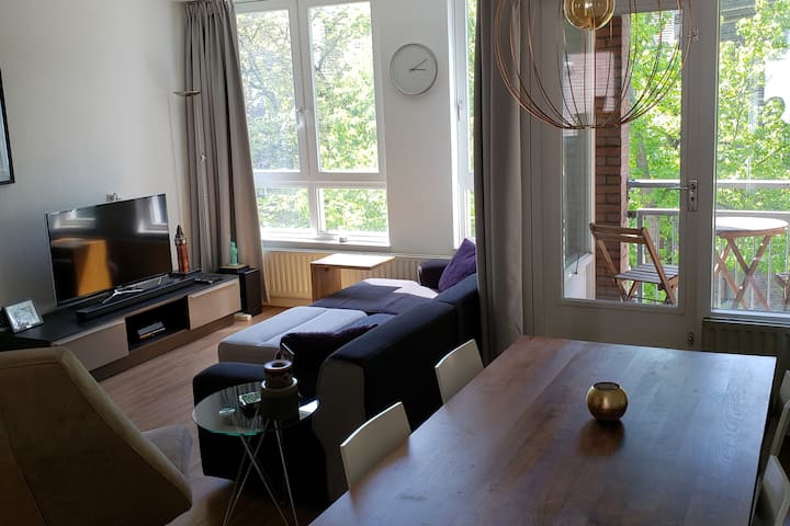 The High Swan In The Center Of Maastricht! - Maastricht