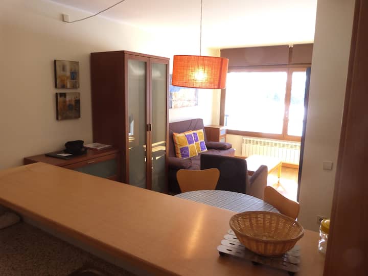 El Tarter Apt. 1chambre, Vue, 400m Pistes Hut 5331 - Andorra
