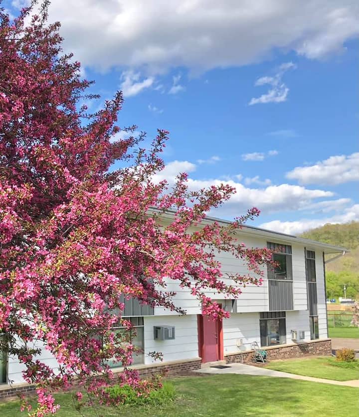 Genevas Hideaway Unit 1 - Lanesboro, MN