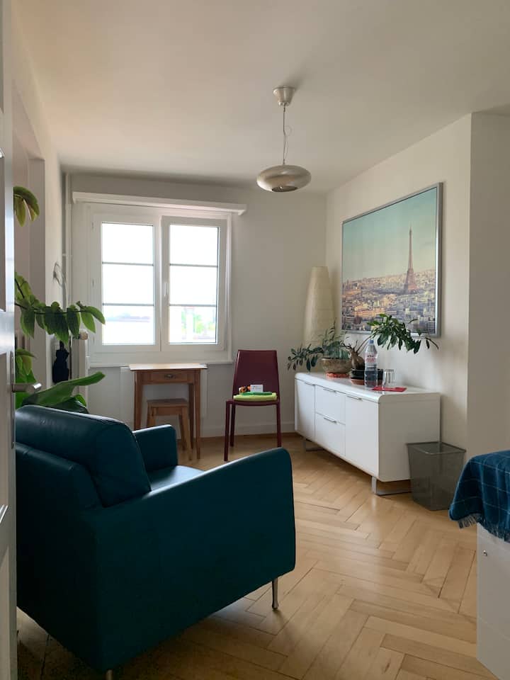 Guest House On The Outskirts Of Lucerne - Lucerne
