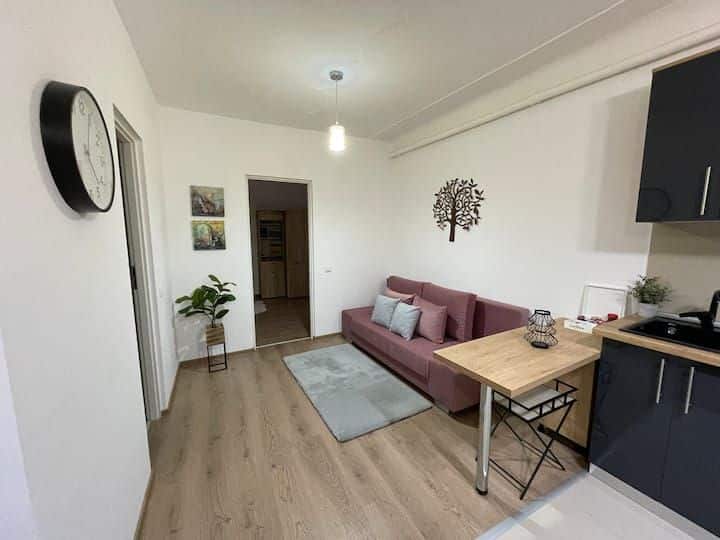 Philharmonie Apartment Ultracentral - Sibiu