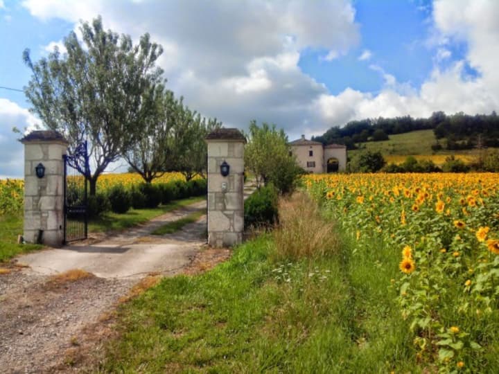 Grande Maison Avec Panorama, Piscine Et Chevaux - Tarn