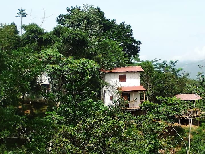 Cabaña En El Aire Homeoasis - Girón