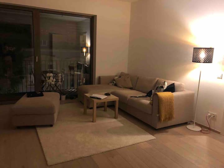 Central Cozy And Bright Entire Apartment - Luxemburgo
