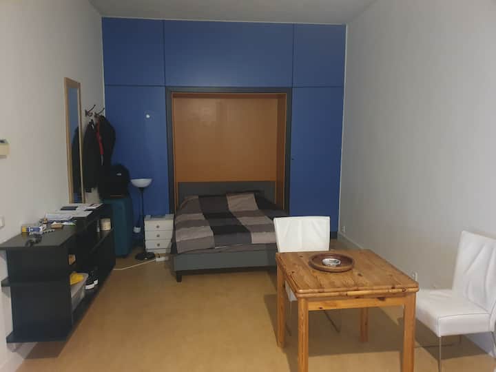 Spacious Apartment Next To Park And City Center - Groningen