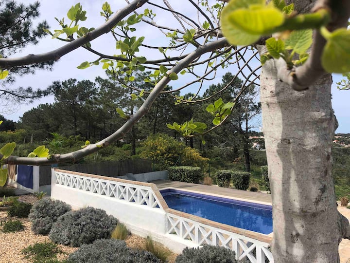 Lavanda House - Aljezur