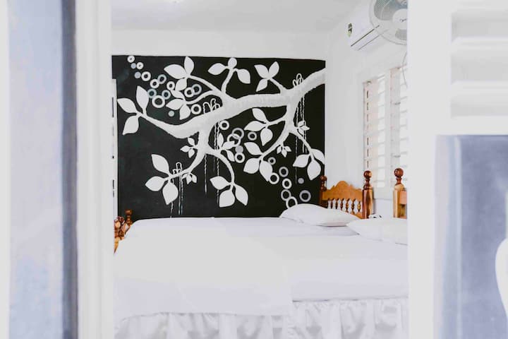 Private Apartment W/ Electricity–walk Everywhere! - Cuba