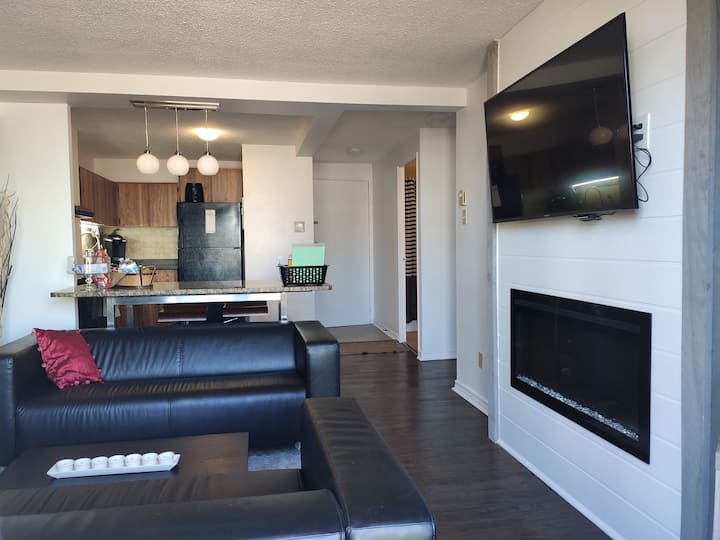 Top Floor, Bright, Beautiful View Of Downtown. - Ottawa