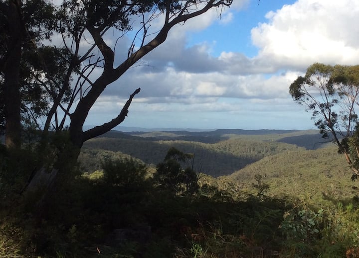 View In The Blue - Blue Mountains
