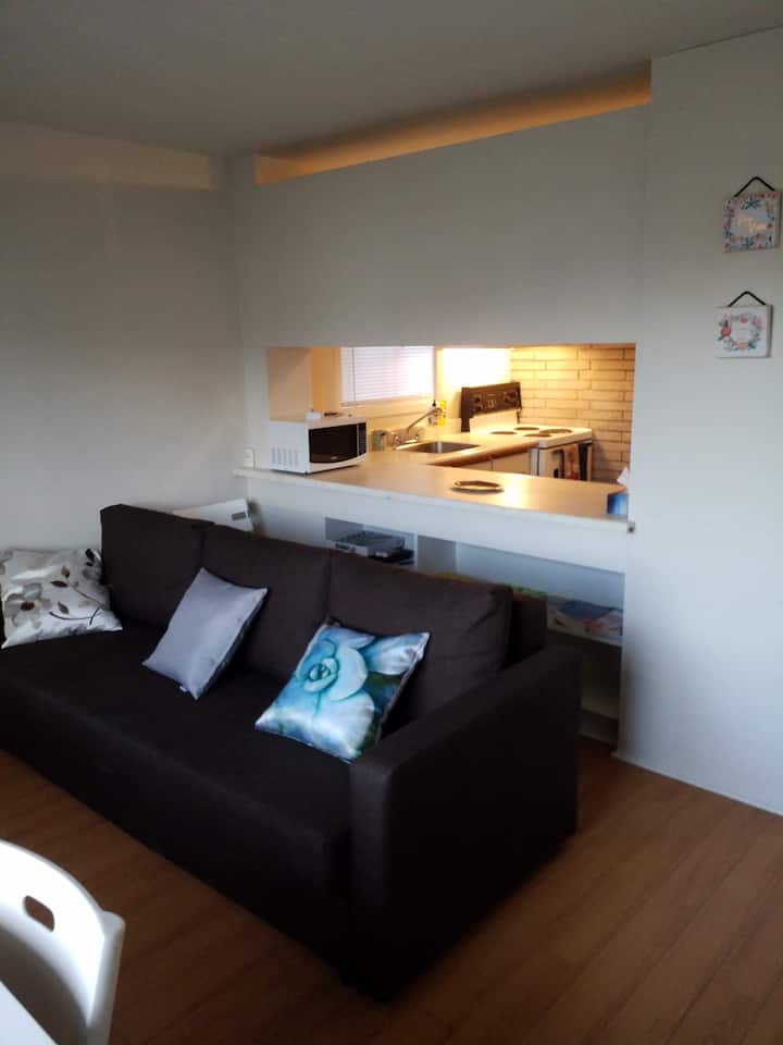 Hull-wrightville Apt# 15 Avec Balçon - Gatineau