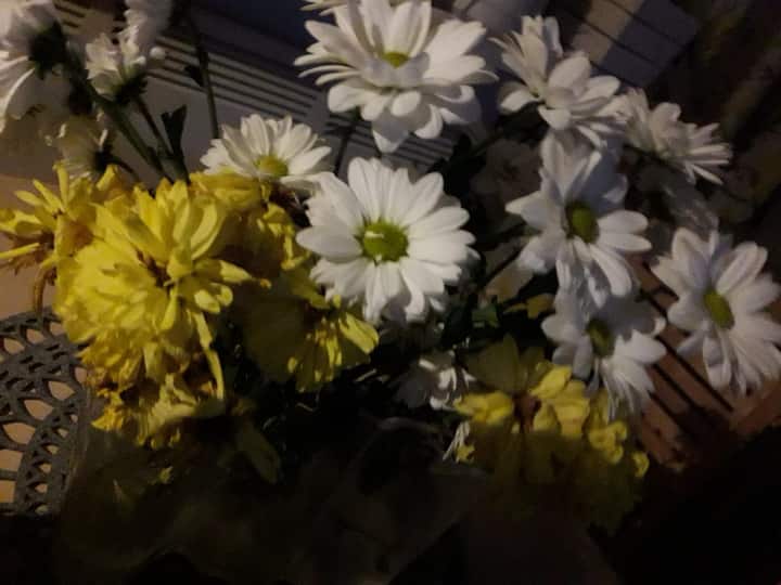 Poissa Käytöstä Toistaiseksi - Varkaus