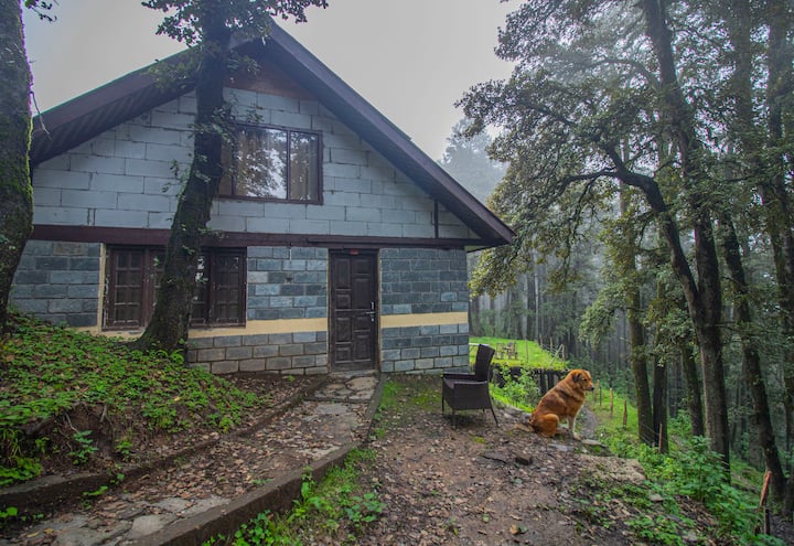 Bastiat Stays| Spacious Cottage | Hatu Peak - Narkanda