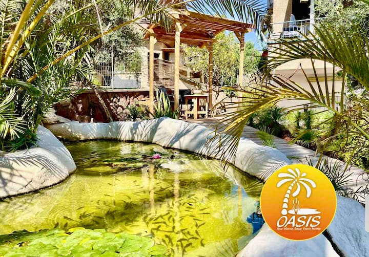 Oasis Classic - Eilat