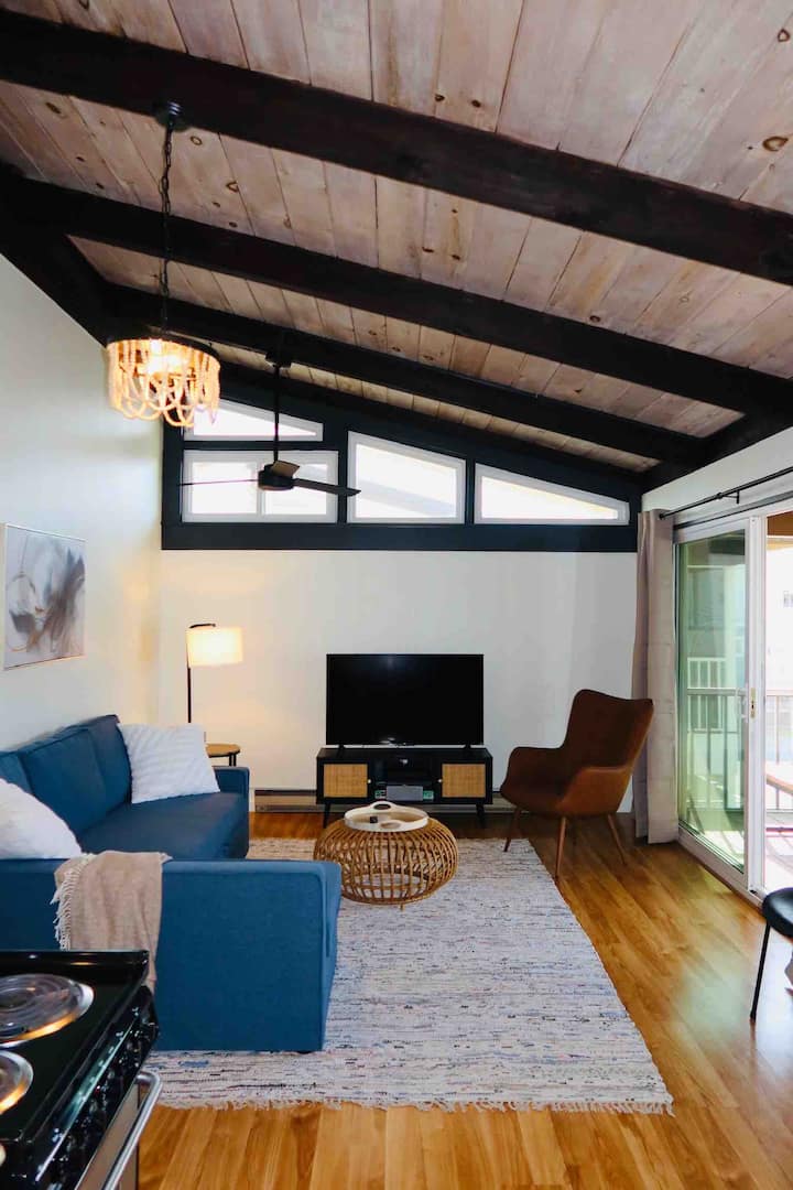 Newly Updated Ocean Block 2 Bed Condo - Dewey Beach, DE