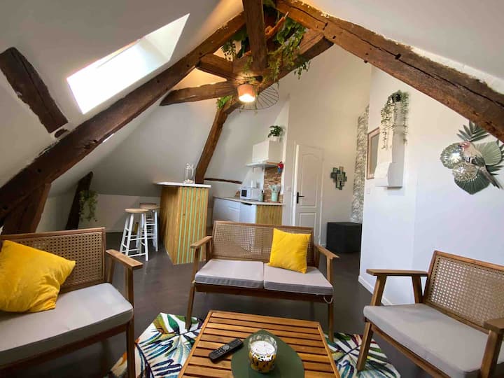 Sous Les Tropiques D’ablis - Saint-Arnoult-en-Yvelines