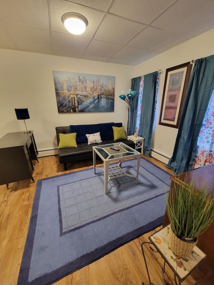 Northside Gem Cozy 1 Bedroom - Syracuse, NY