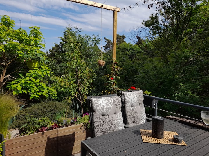 Entre Vignes & Vosges - Chambre D'hôte - Ammerschwihr