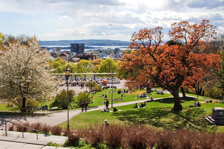 Sjarmerende, Med Sentral Og Idyllisk Beliggenhet! - Oslo