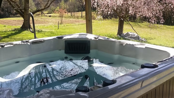 One Mile From The Dragon/ Jacuzzi - Chilhowee Lake, TN