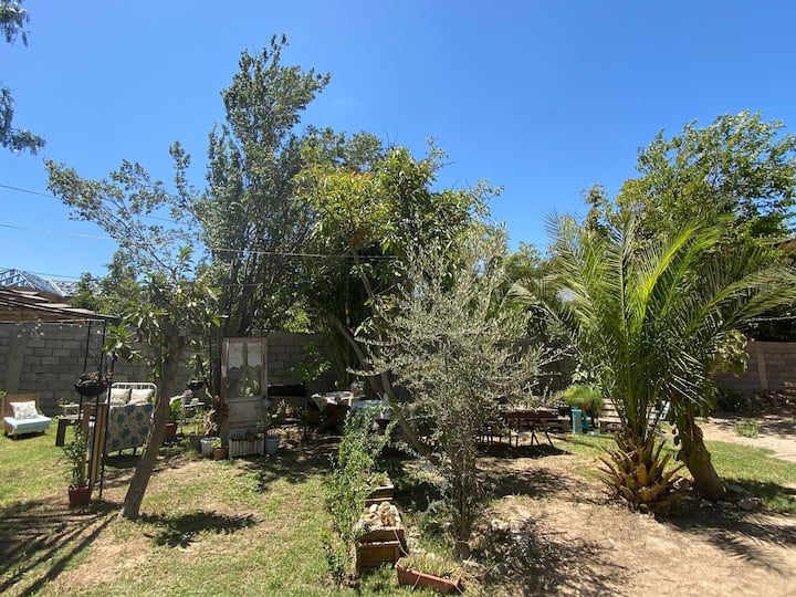 Acogedora Casa En Vicuña. - Vicuña