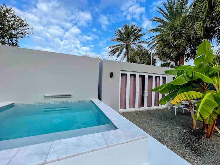 Wabi Sabi Studio - Vista Royal Janthiel Beach - Curaçao