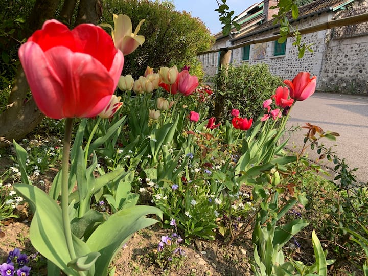 🌹🎨 Cœur #Giverny Appartement De Charme Blanche 🖼☀️ - Giverny