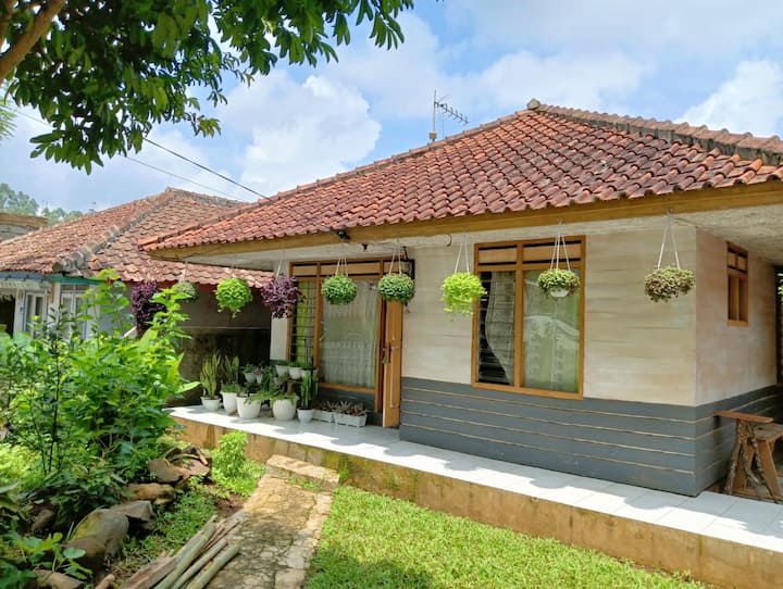 Rumah Asri
Ujang Barjah Ciwidey - Ciwidey