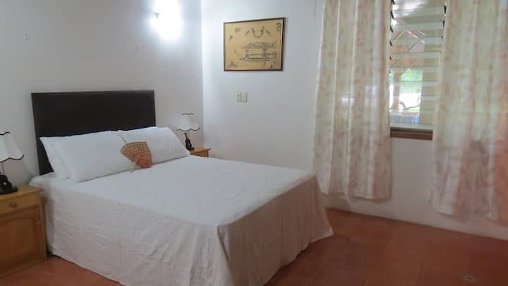 Villa Martel -  Exotic Tropical Haven - Apia