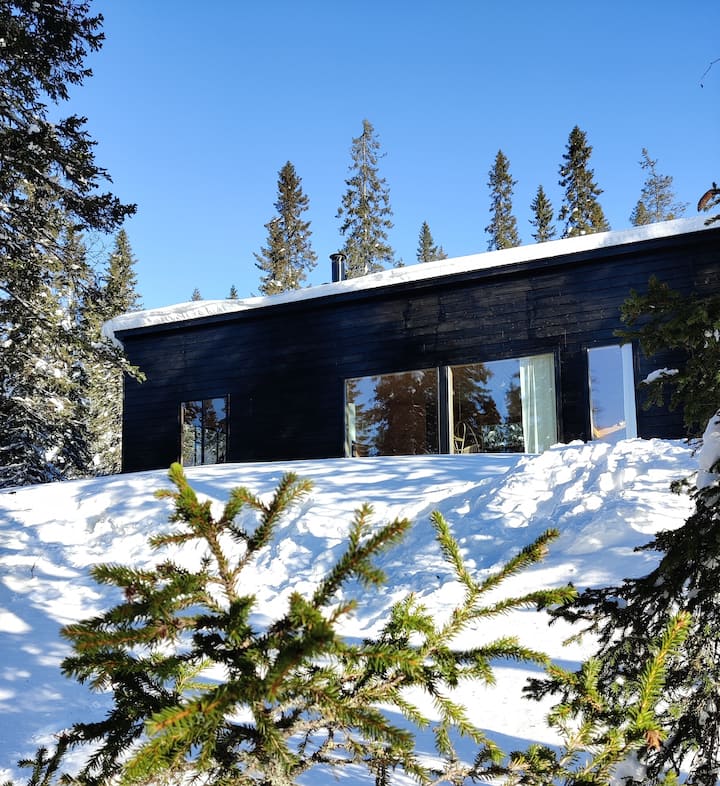 Villa Huikonen - Finland