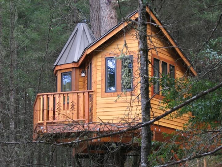 The Magical Calypso Treehouse - Oregon Caves