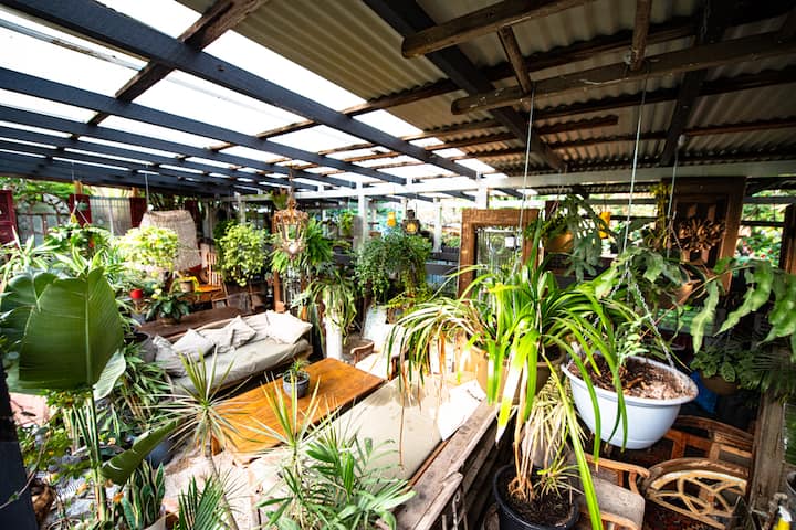 Jaspers Garden Apartments - Brunswick Heads