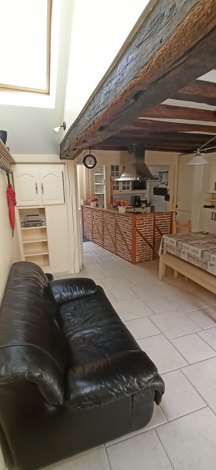 Au Coeur Historique D'amboise Pour 6 Personnes - Amboise