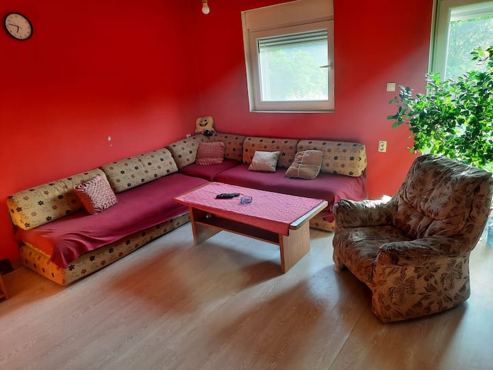 Apartman Za Izdavanje U Vreme Exit Festivala. - Novi Sad